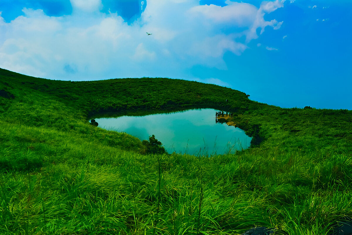 Trekking to Chembra Peak: A Journey to Remember - Nexgo